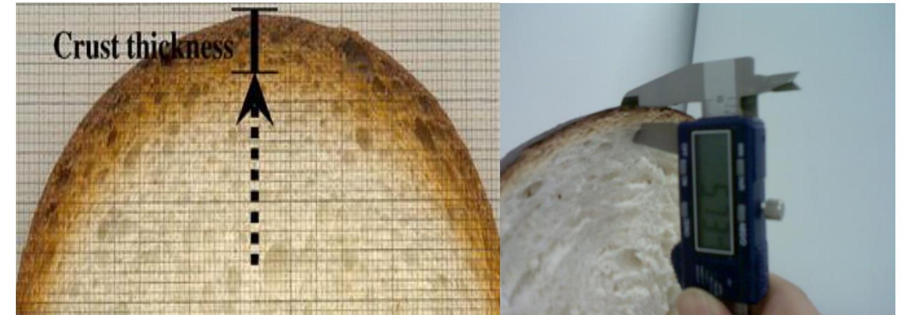 1 measurement of crust thickness of bread using slice
