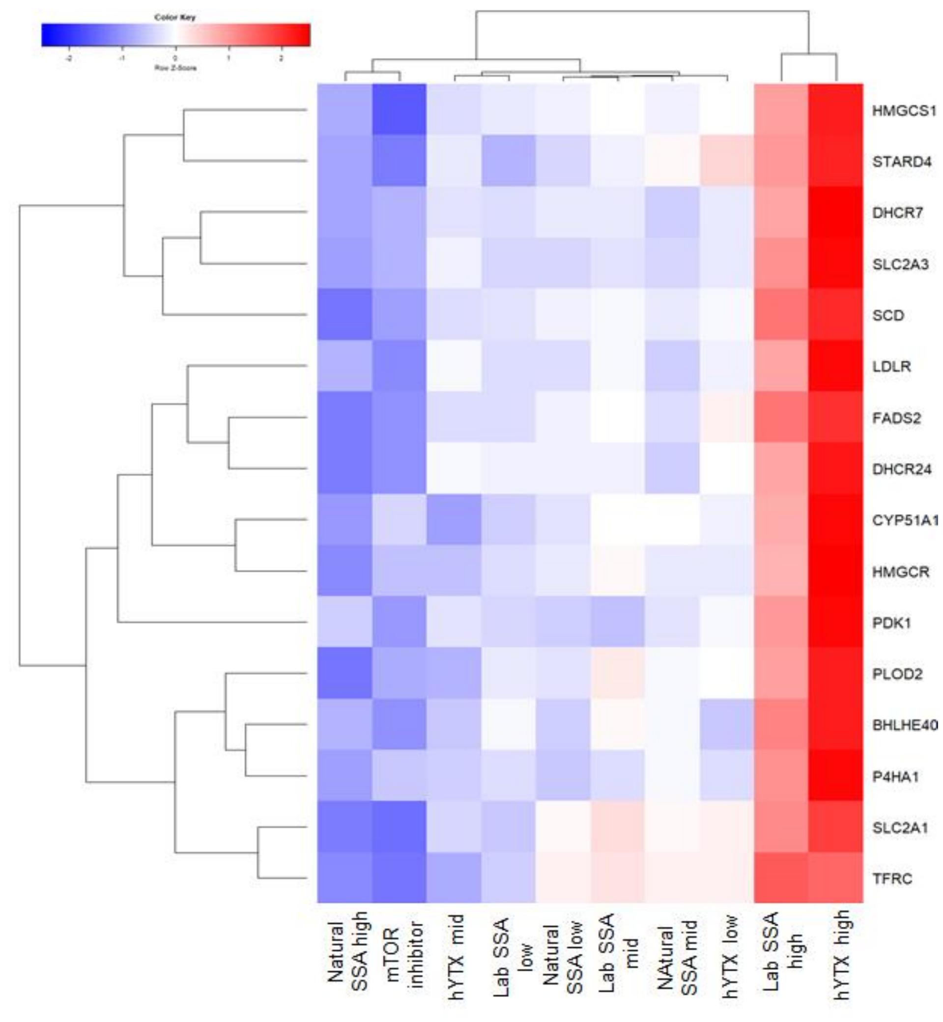 Enrichment of the mtor hallmark set. (a) heatmap for all