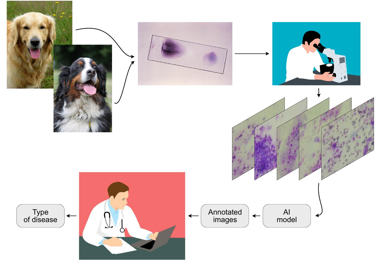 |: a diagram of the deep learning-based system for the