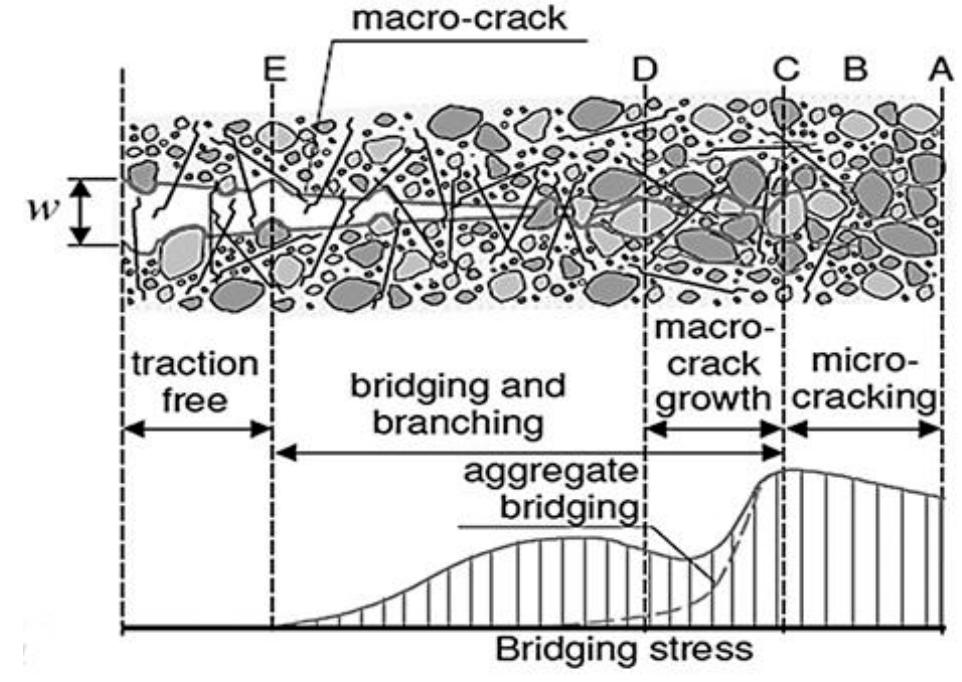 Schematic description of the effect of fiber on the fracture