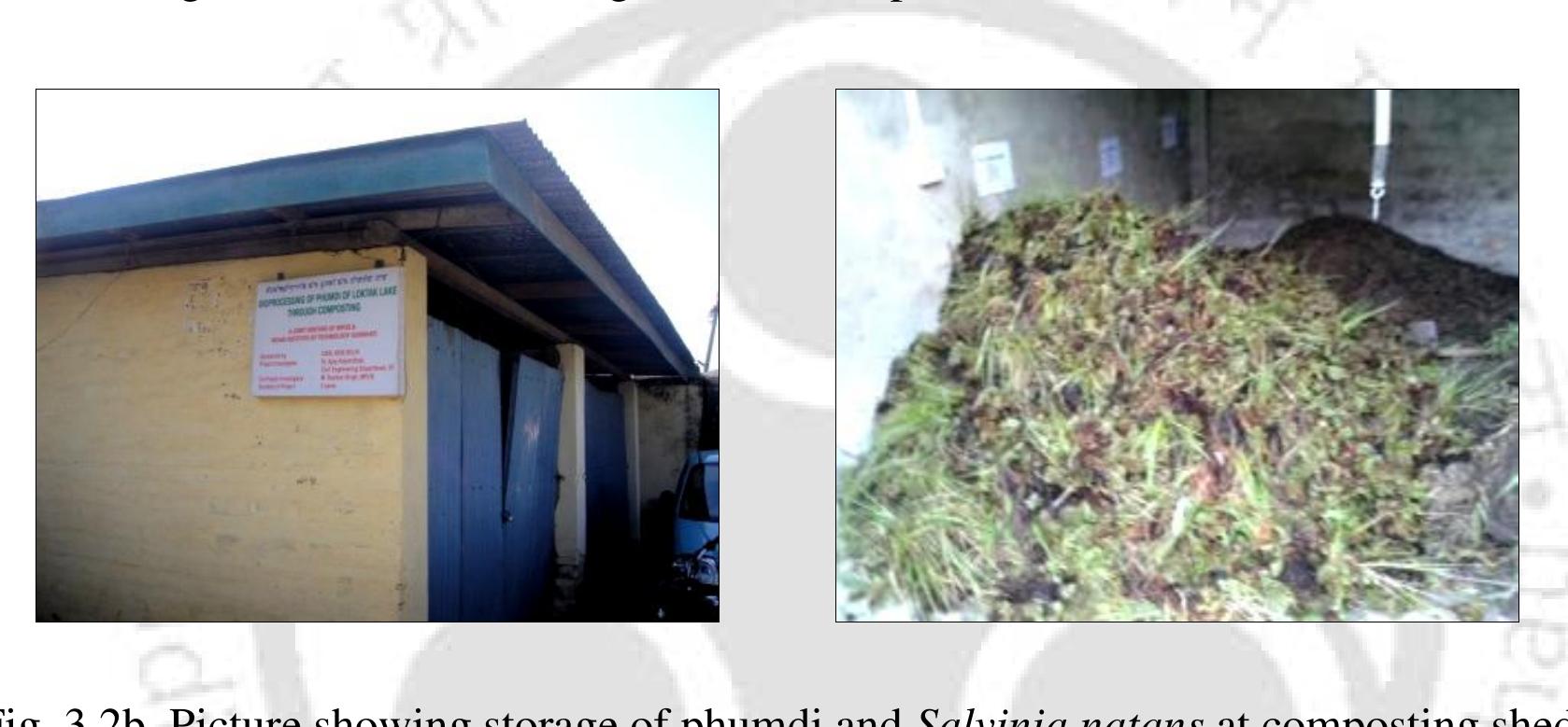 Figure 30 - Composting of Floating Biomass (Phumdi and