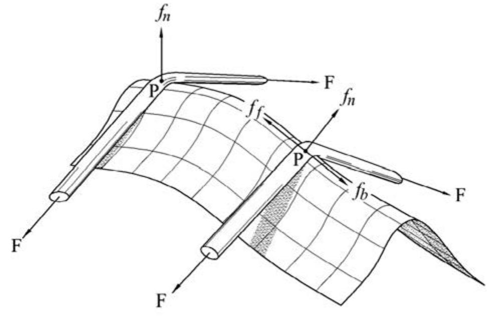 Schematic representation of forces acting along a fiber