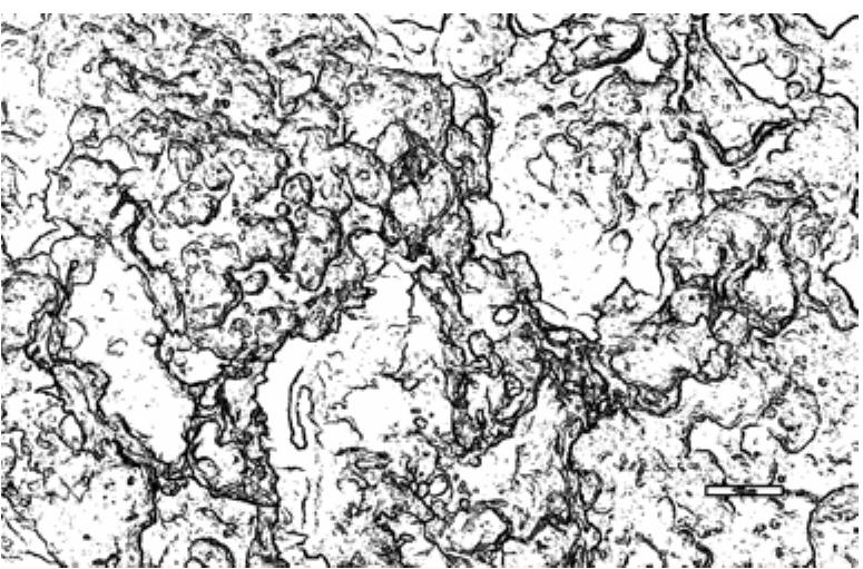 Inversion binarized image of fracture from fig.2 processed