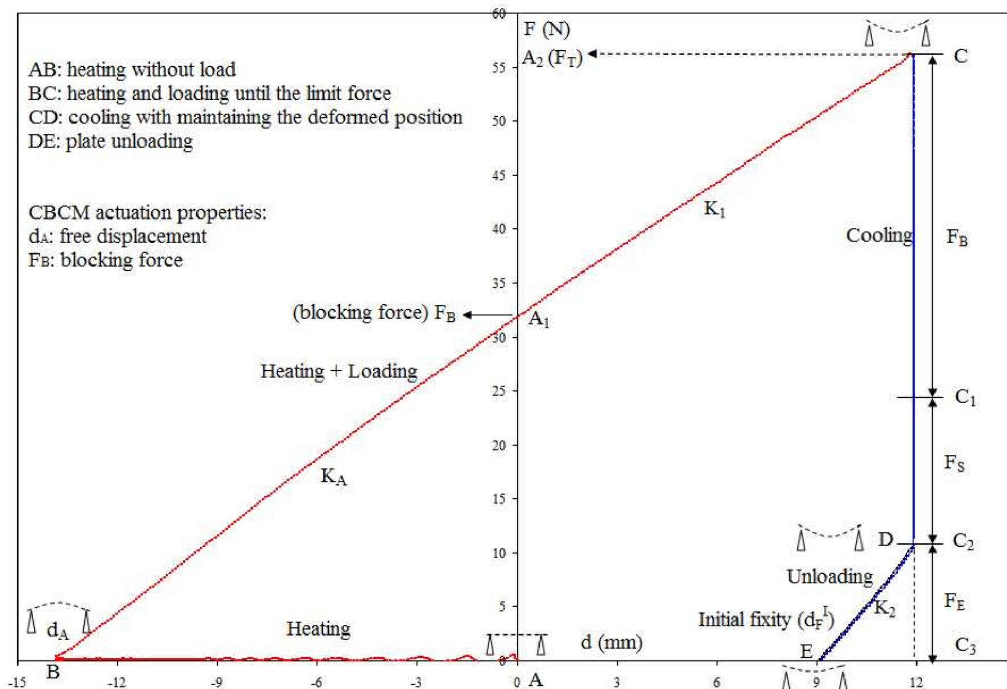 thermo-mechanical programming cycle, force versus