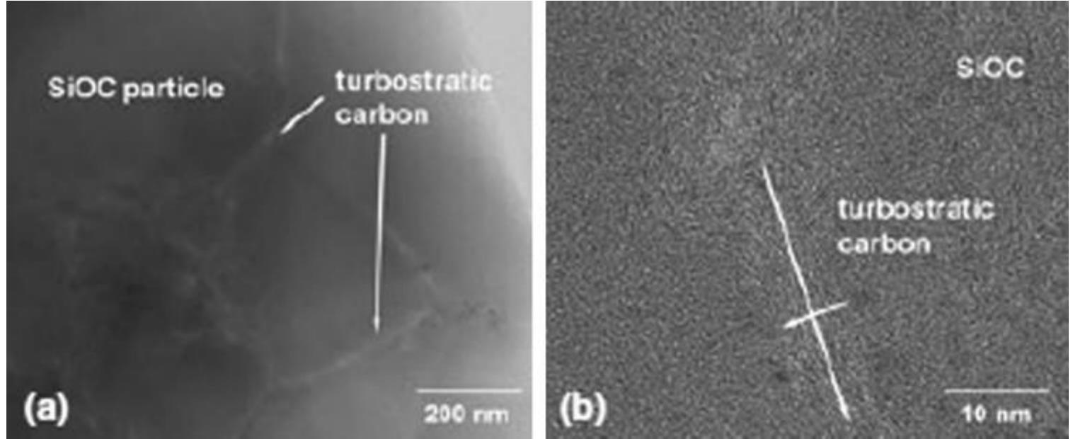 Transmission electron microscopic images showing the