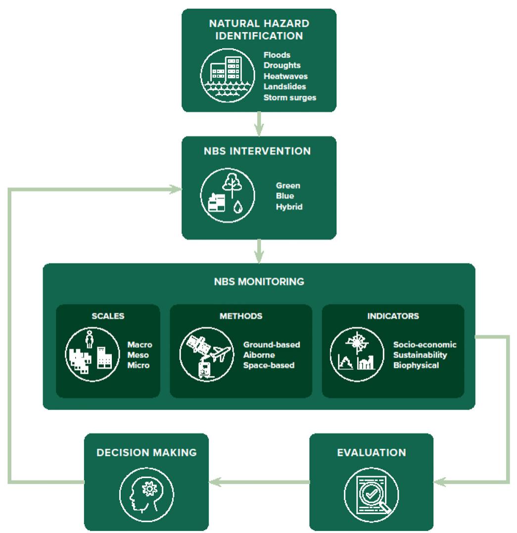 A schematic diagram showing the nbs monitoring cycle along
