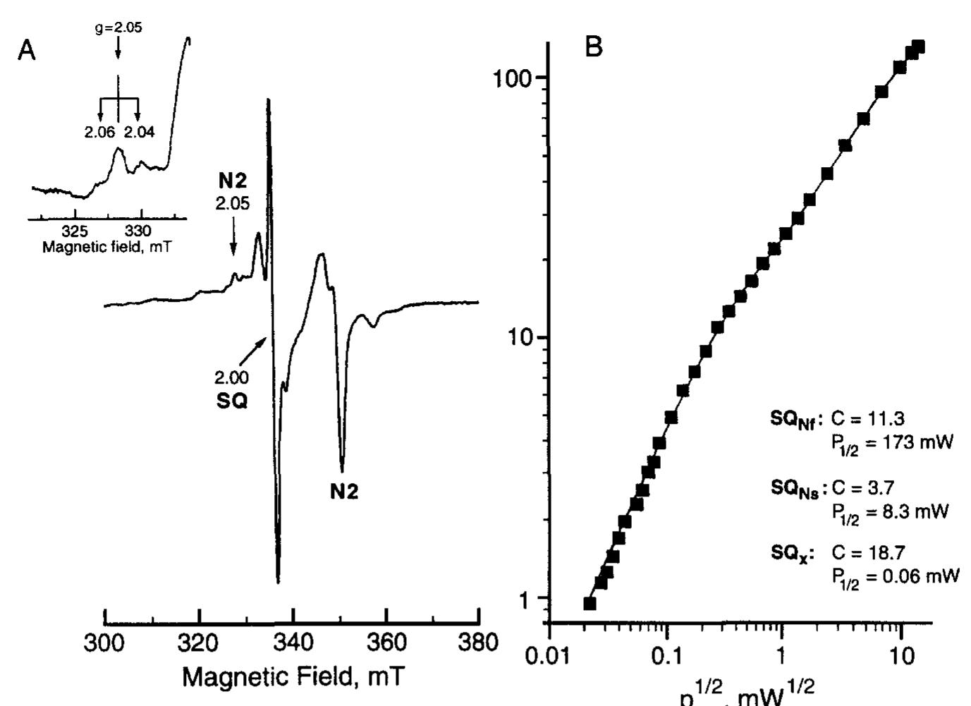 (a) epr spectra of tightly coupled (respiratory control