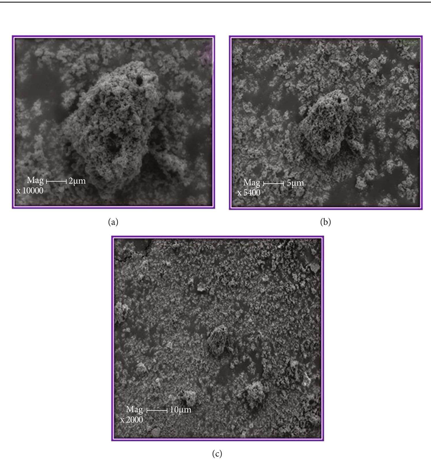 The scanning electron microscope micrograph of lead selenide