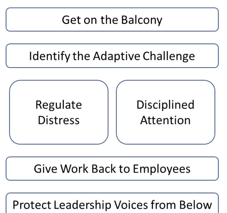 Heifetz’s six-step model note. adapted from “the work of