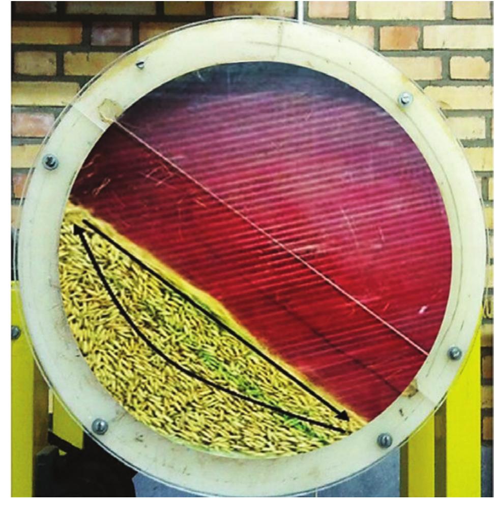 Schematic of slumping motion of paddy mass in a rotating