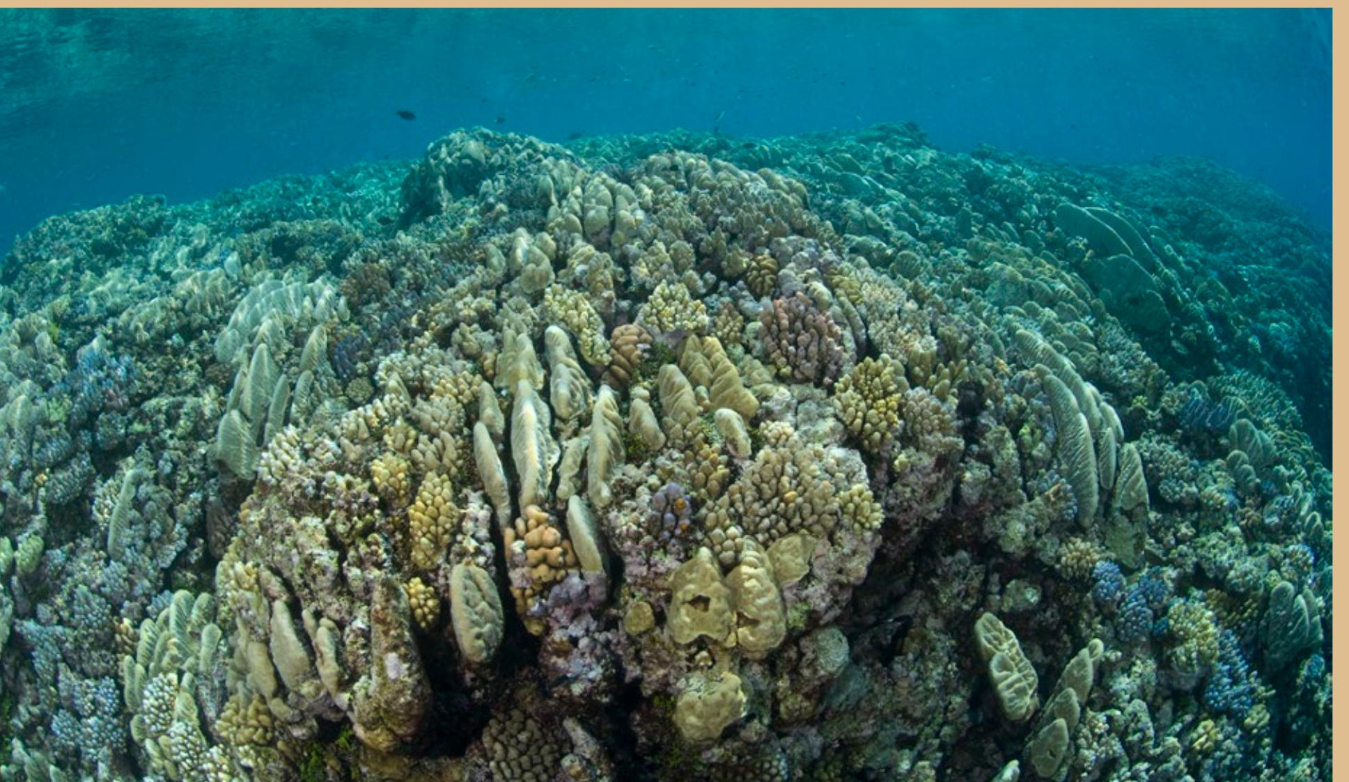 Figure 101 - Status of Coral Reefs of the World: 2020