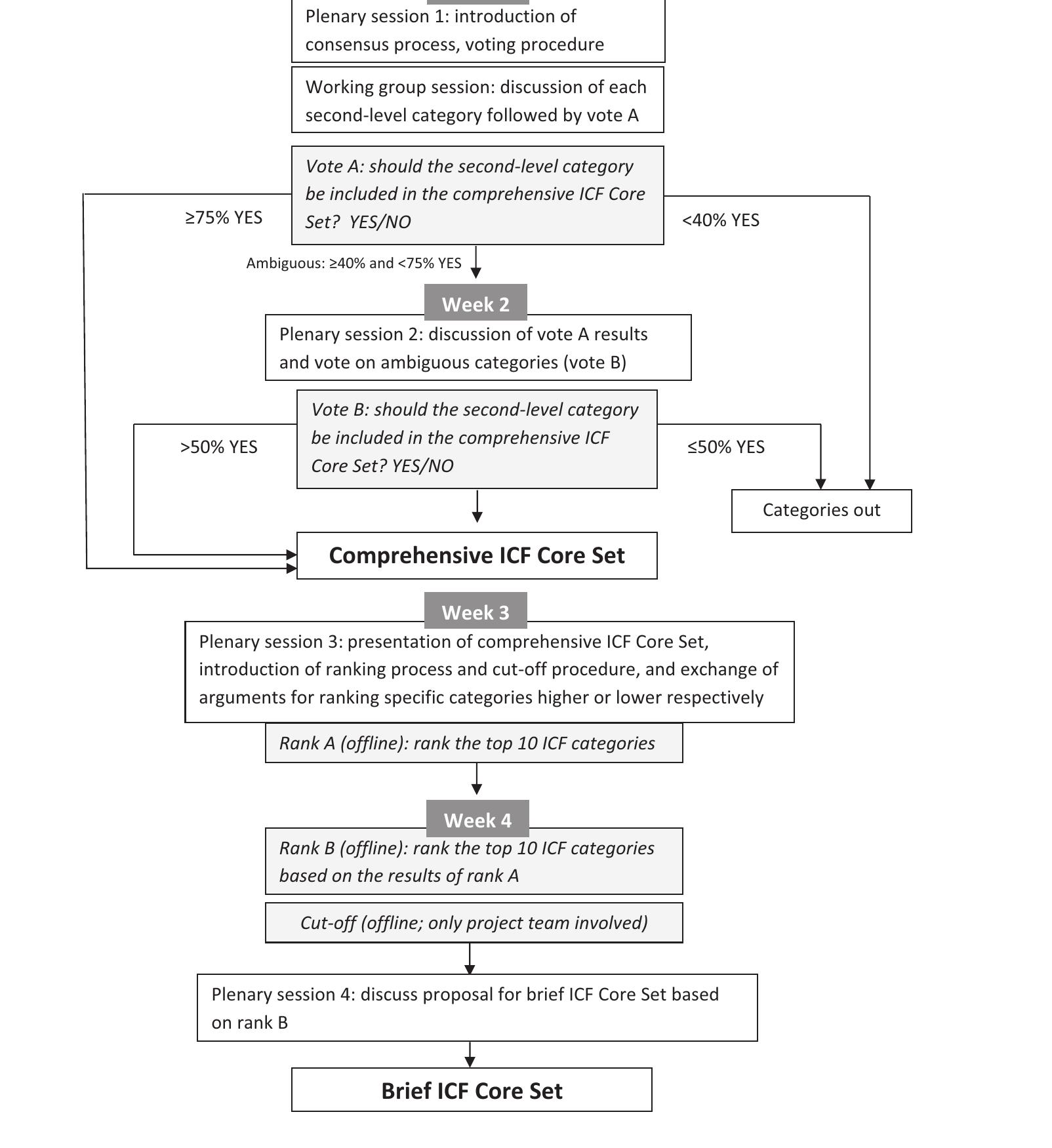 Decision-making process. icf, international classification