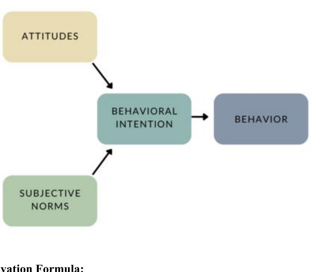Sn = one's subjective norm related to performing the