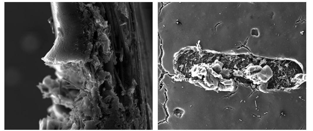 Sem cross section (left, mpl side is on the left hand side)