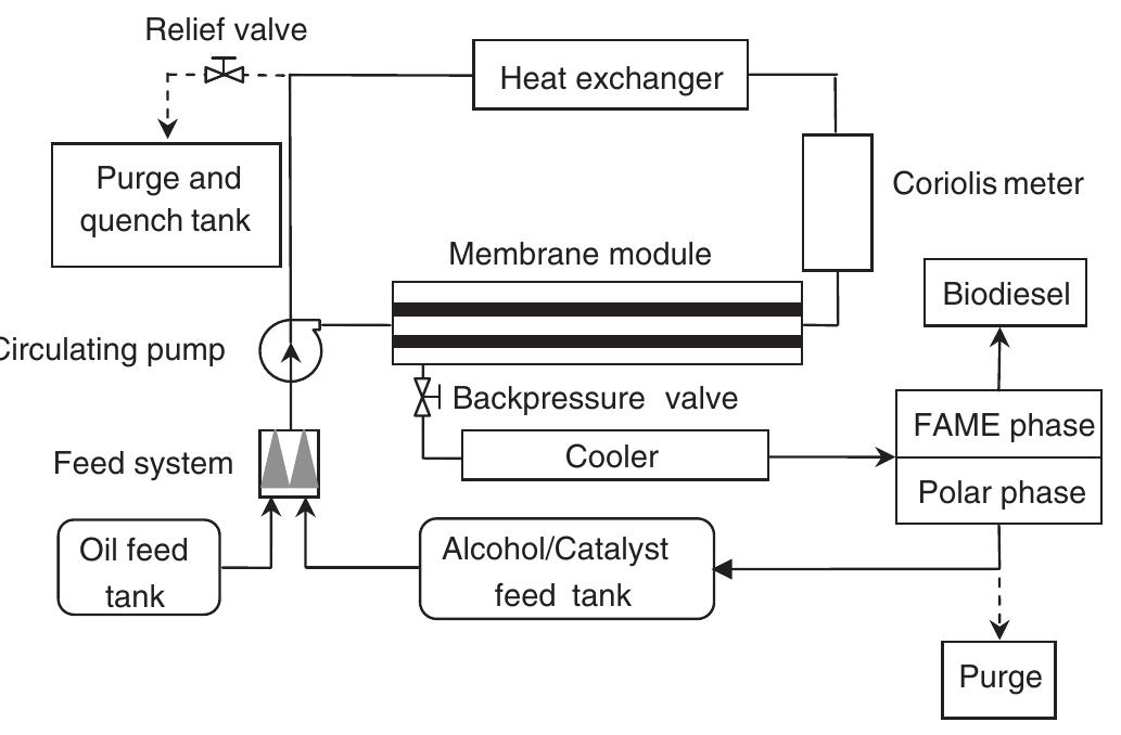Schematic diagram of the membrane reactor for biodiesel