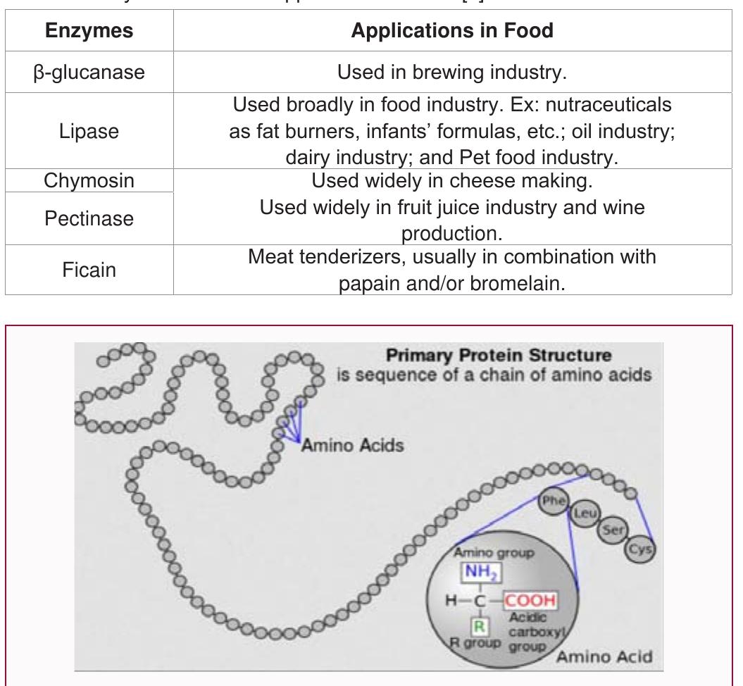 Primary structure of proteins (enzymes) [3]. national human