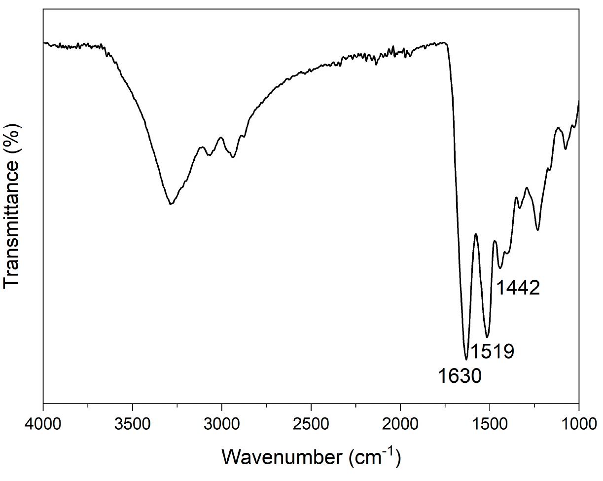 Atr-ftir spectra of pure fish glue. the fish glue product