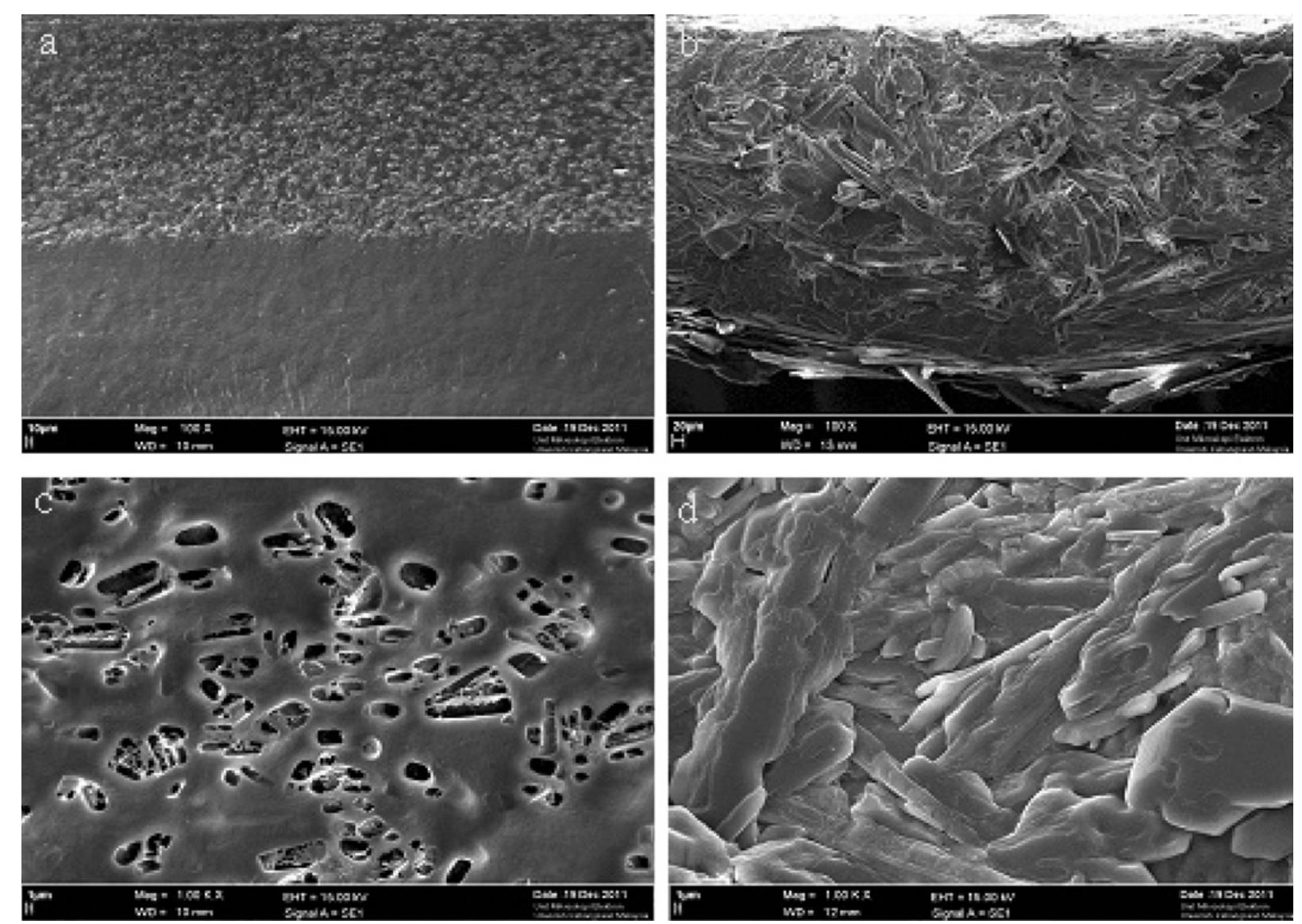 Figure 3 - from Alginate based bilayer hydrocolloid films as