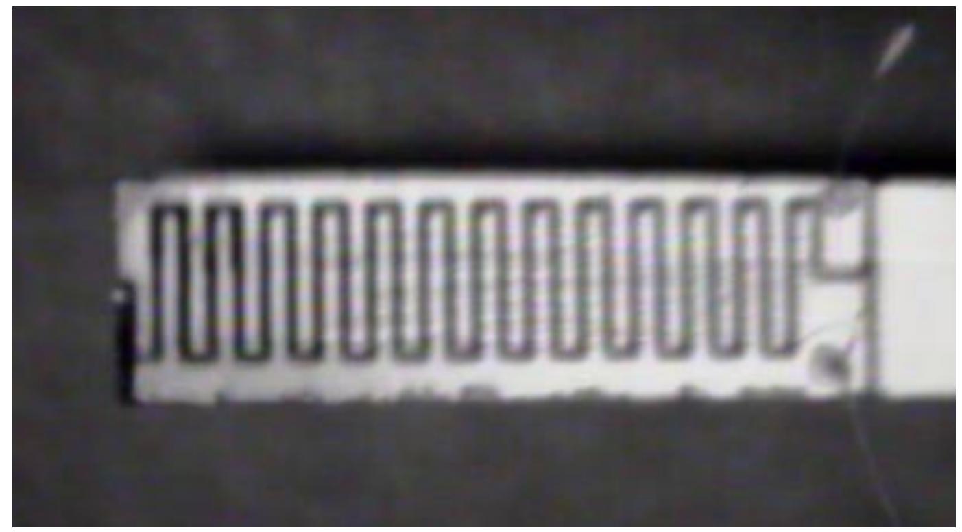 Picture of the interdigitated electrode pattern fabricated