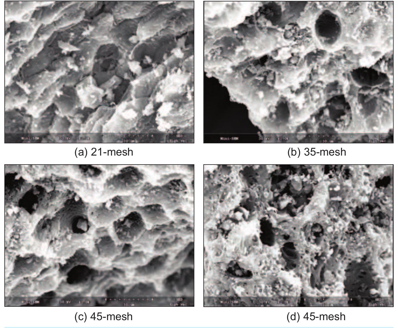 The sem photographs of different mesh sizes of cocoanut