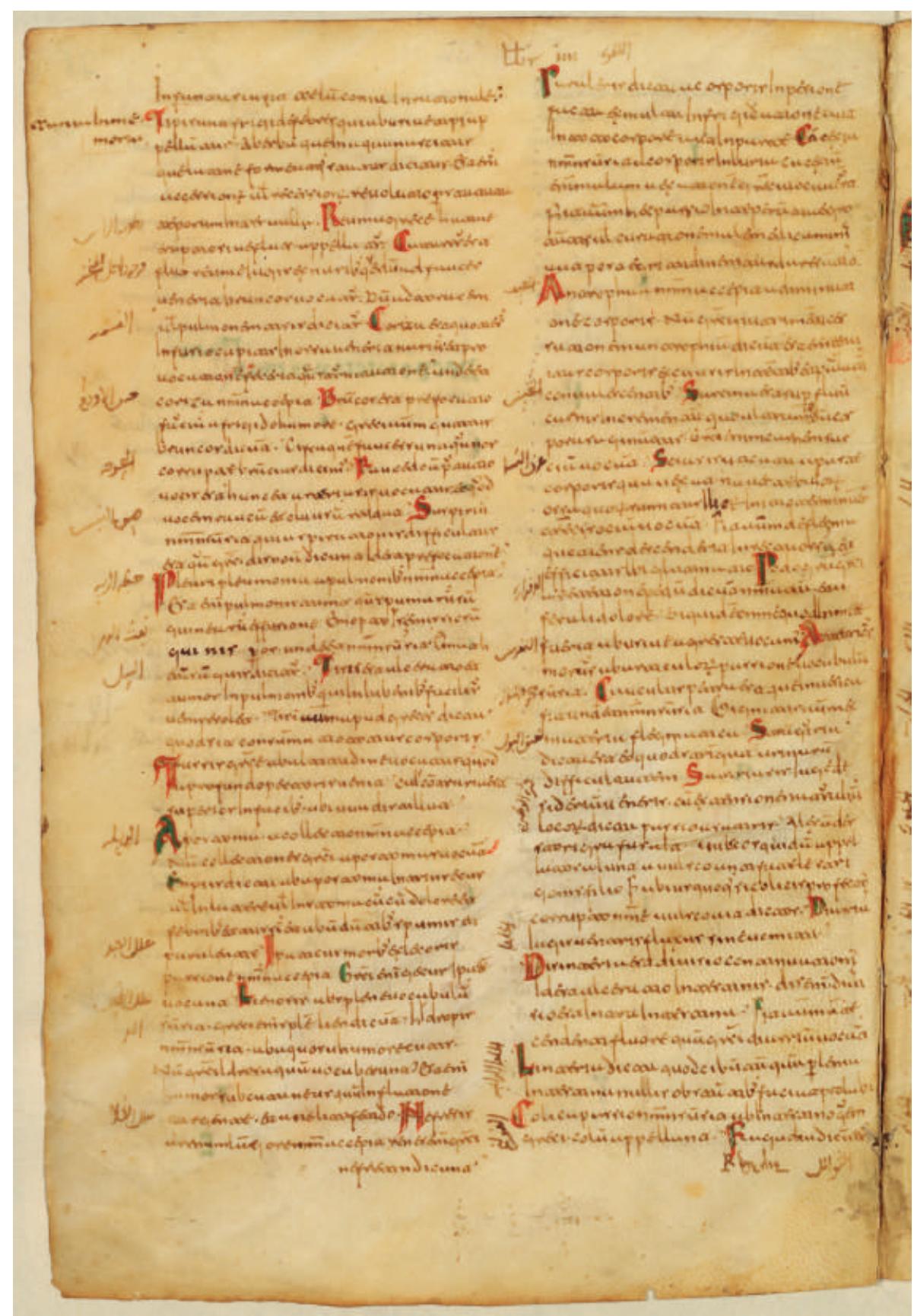 Figure 3 - “Ecce! A 9th Century Isidoran T-O map labeled in