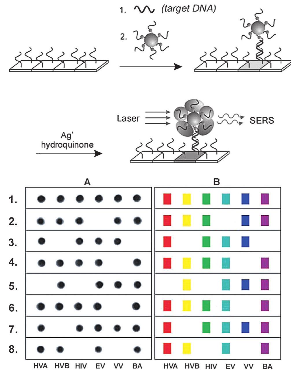Target dna detection with dye-labeled, oligonucleotide