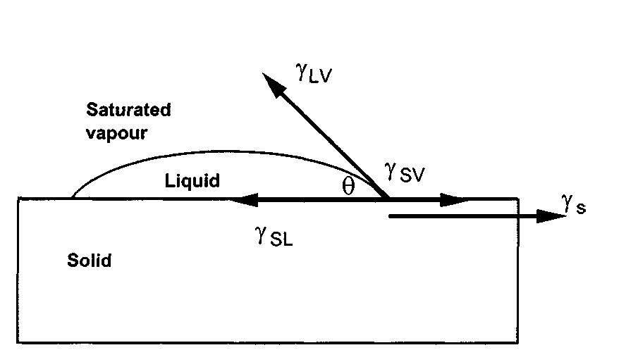 A schematic vector representation of the vapour-liquid-solid