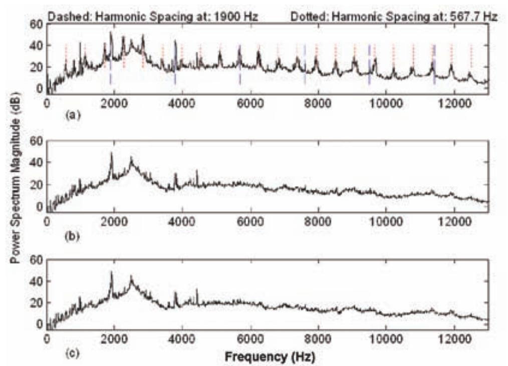 Power spectrum of: (a) order tracked signal showing two sets