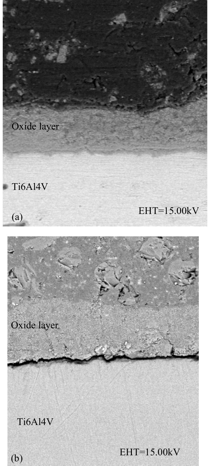 Figure 5 - from Investigation Of Titanium Oxide Layer In