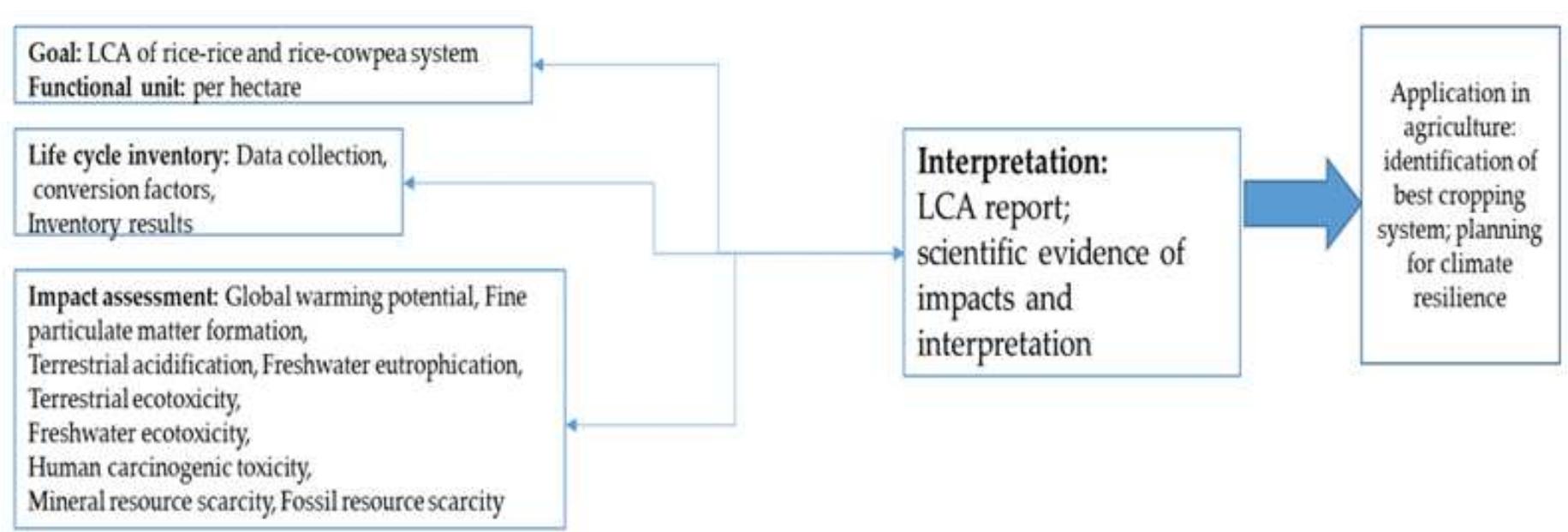 Lca flowchart depicting phases and steps.