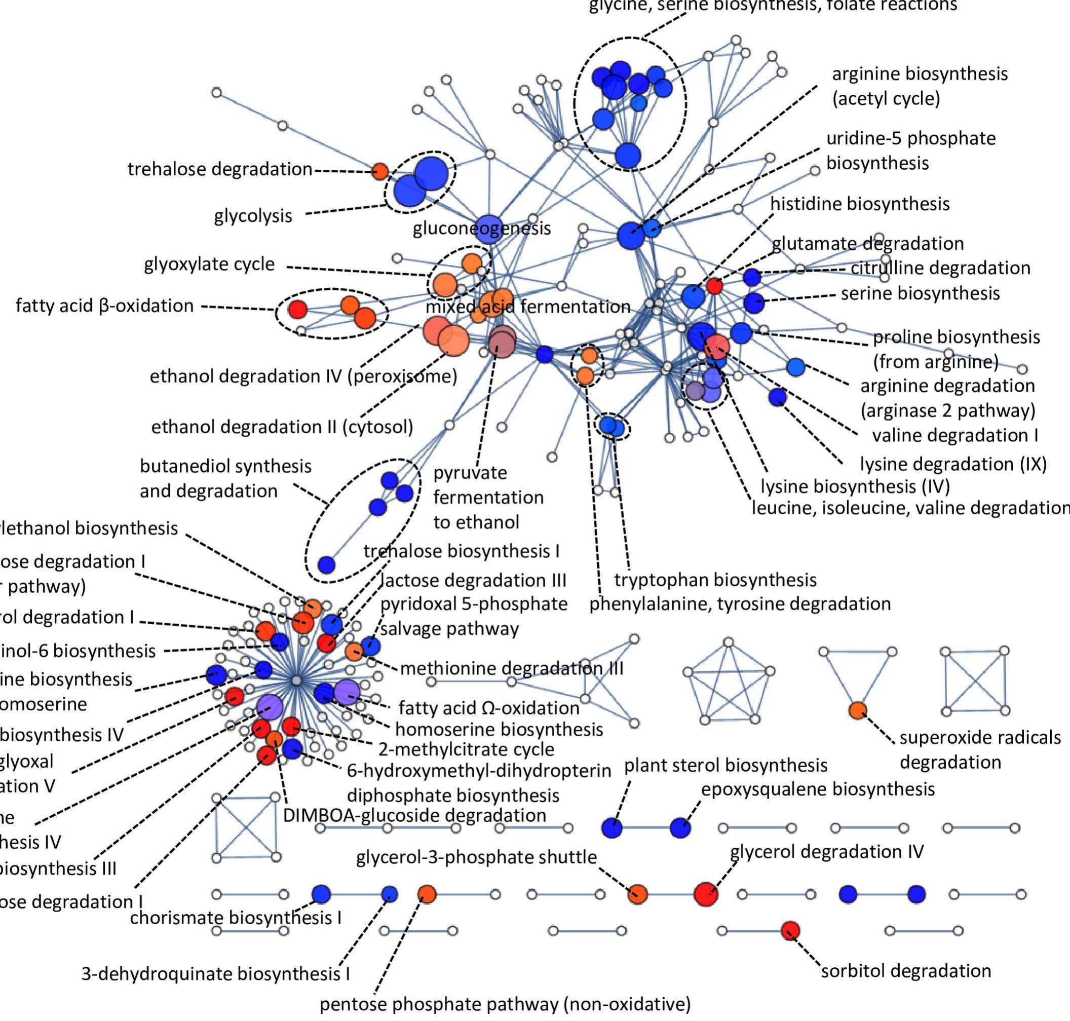 Gene set enrichment map of rna-seq data using the