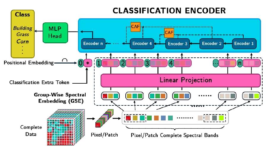 Detailed diagram of the classification encoder. to study the