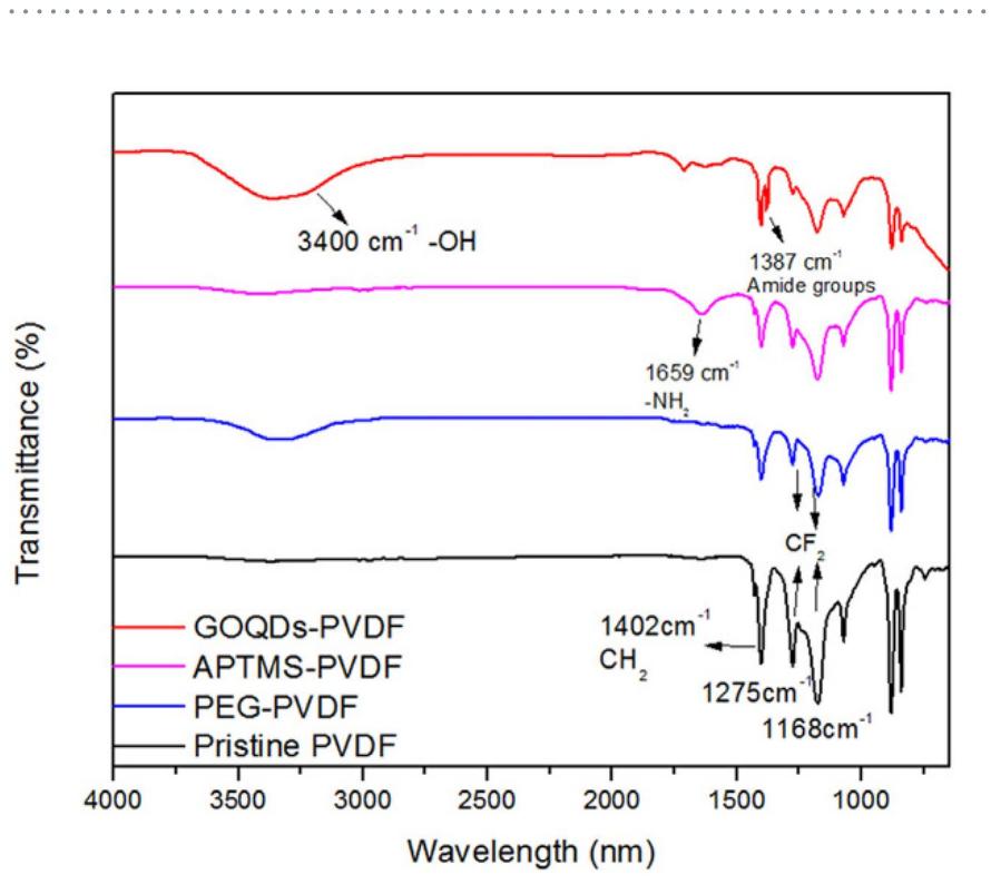 Atr-ftir spectra of pristine pvde, peg modified pvdf, aptms