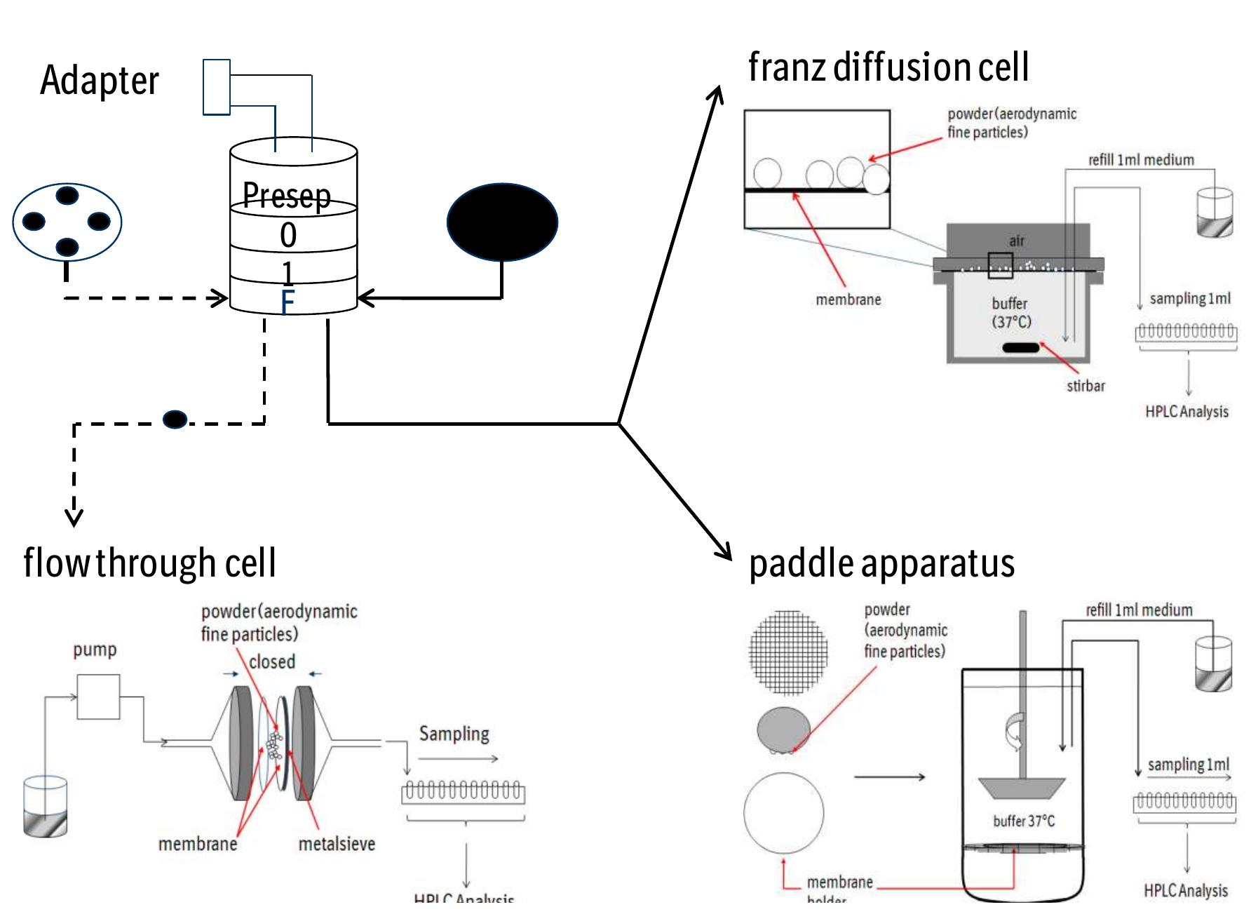(modified after (3)) schematic diagram of abbreviated aci