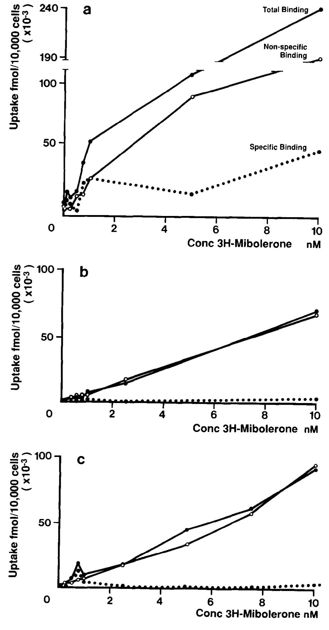Variations in androgen receptor content in cultured dermal