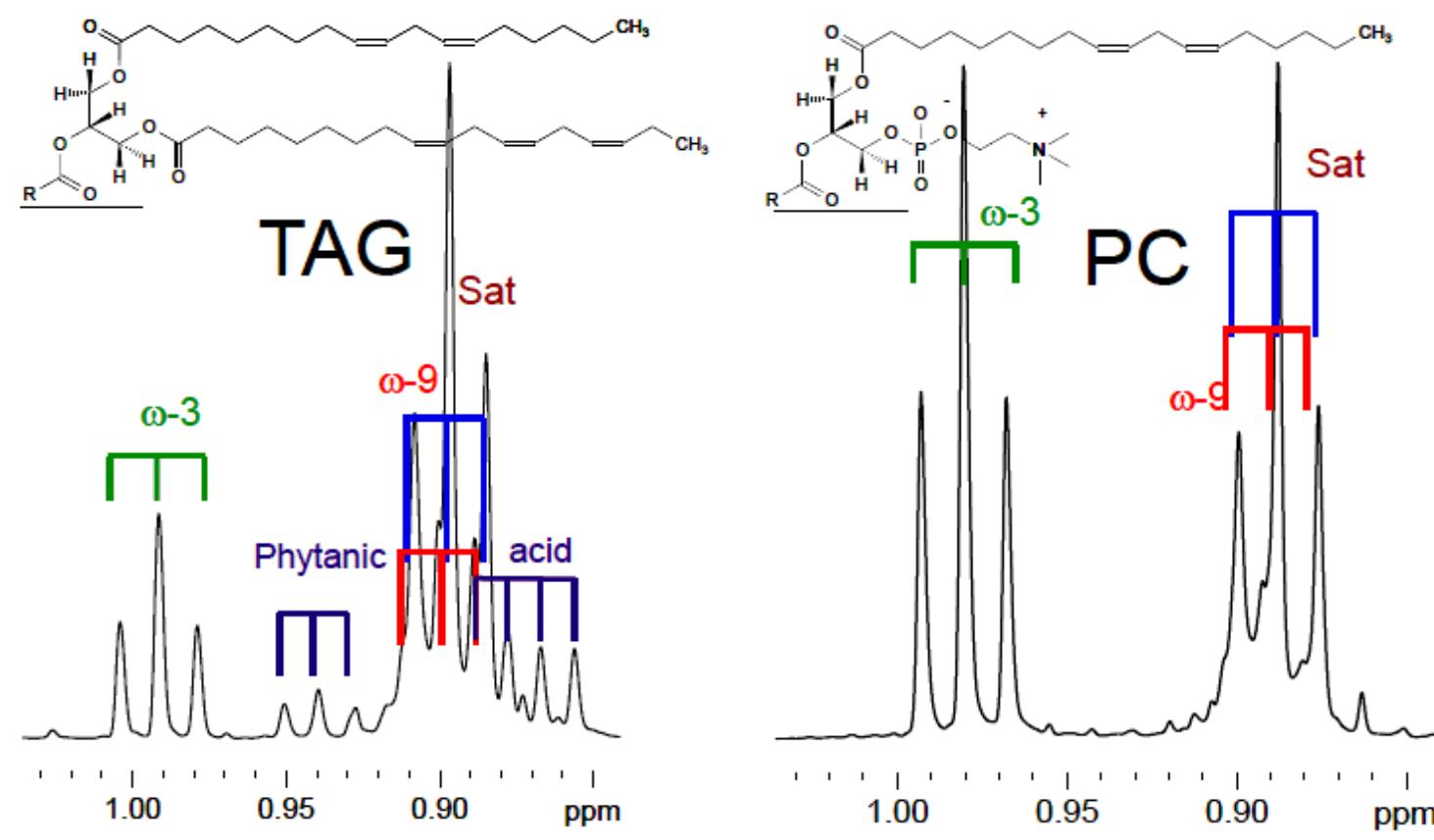 1h-nmr spectra of tag and phospholipids from krill oil after