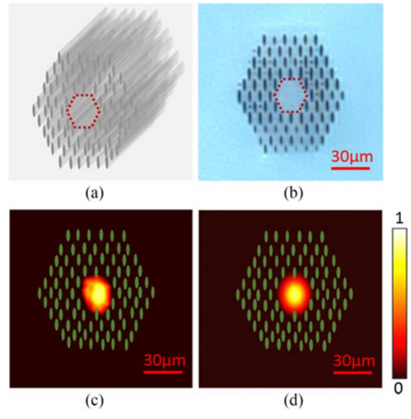 (a) the cross-sectional sketch (b) microscopic image of the