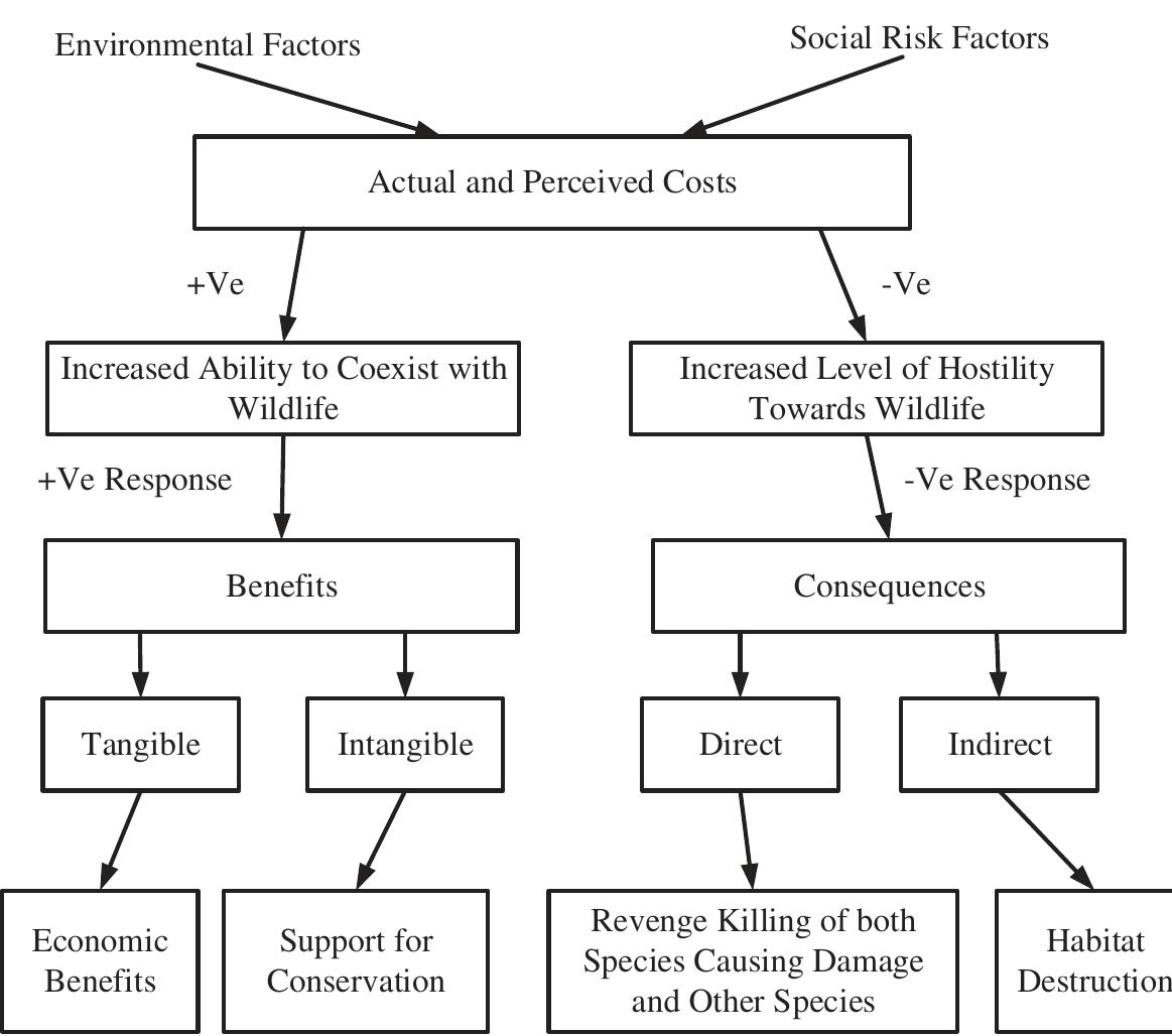 Chart 1. framework chart. adapted from dickman (2010). oonp