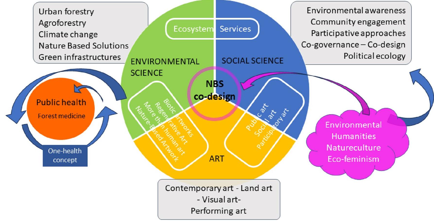 Theoretical framework of the manuscript. the diagram shows