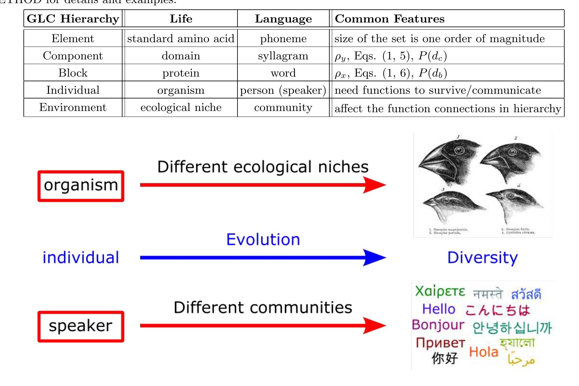 Schematic of the common evolution framework according to glc