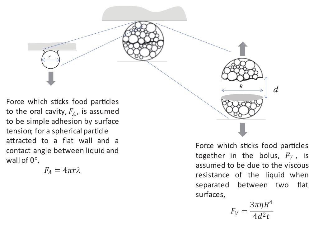 A in the derivation of viscous force, the force to separate