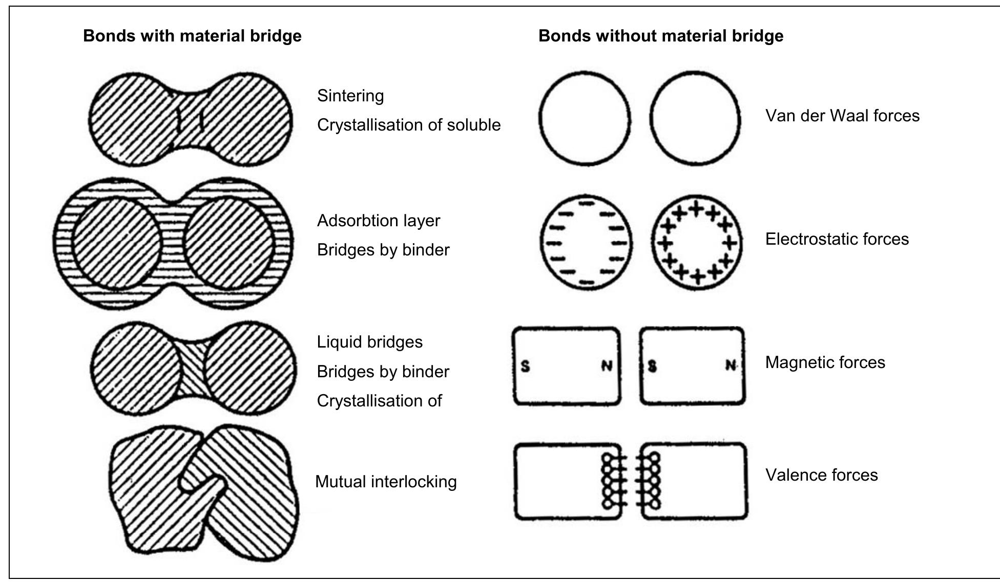 12.: schematic representation of the binding mechanisms