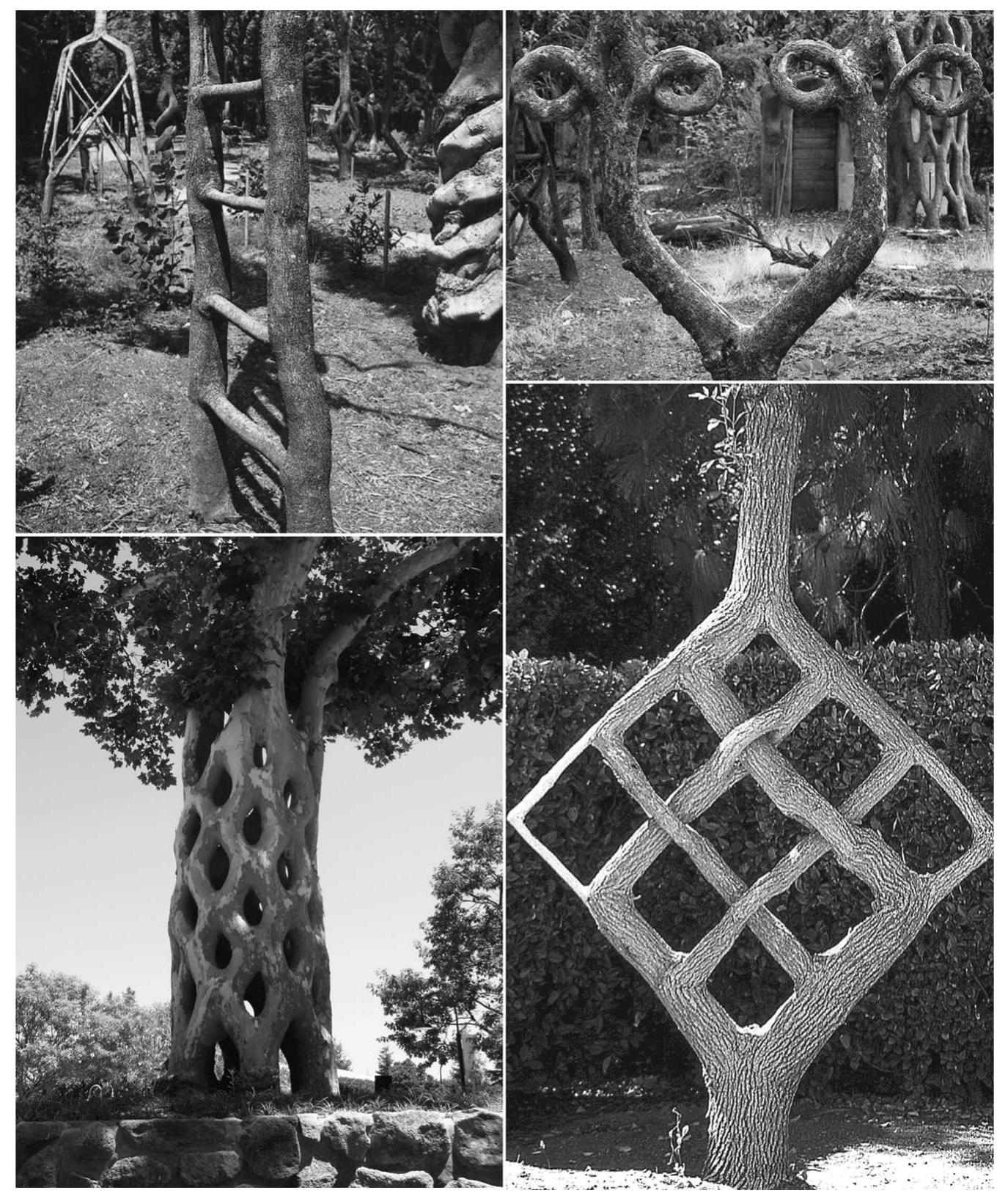 (PDF) A History of Grafting