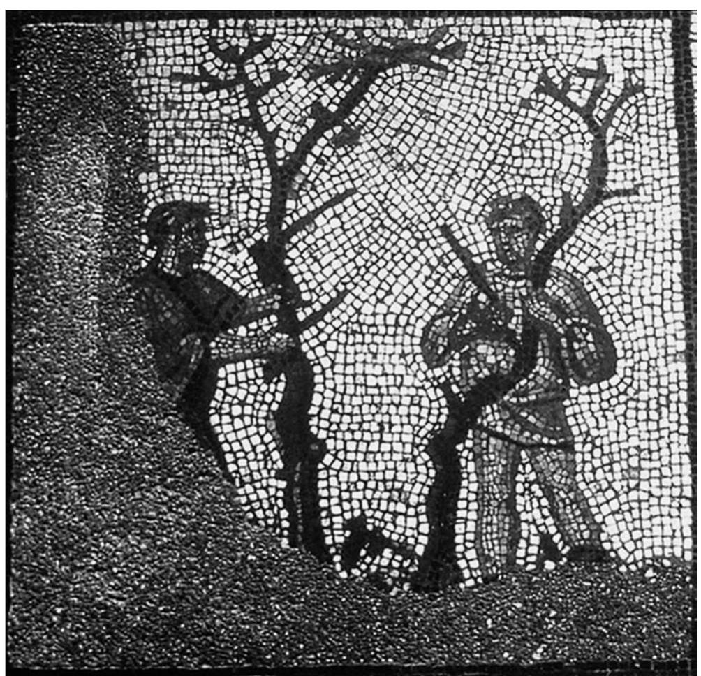 (PDF) A History of Grafting