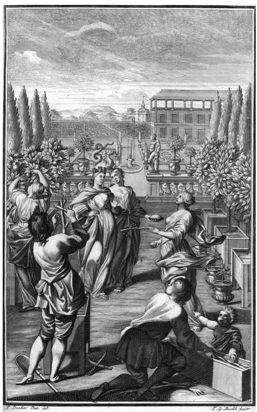 (PDF) A History of Grafting