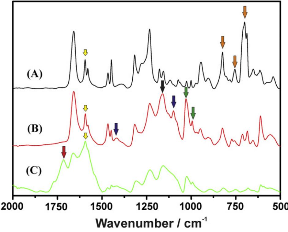 Atr-ftir spectra of (a) parmax, (b) sparmax and (c) sparmax