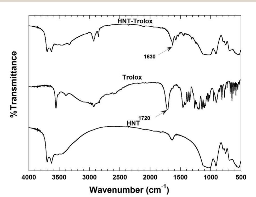 Ft-ir spectra of pristine hnt, trolox and hnt-trolox
