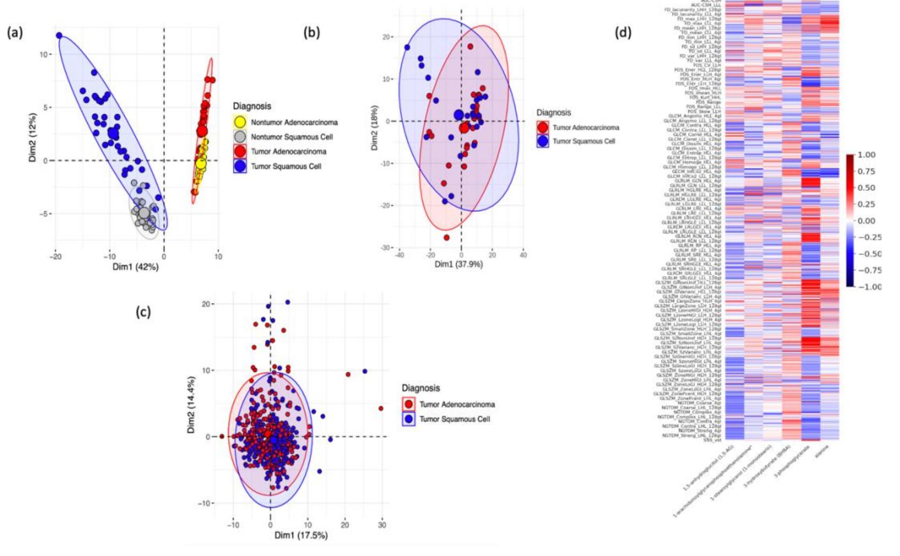 Comparison of metabolomic and radiomic features for ac and