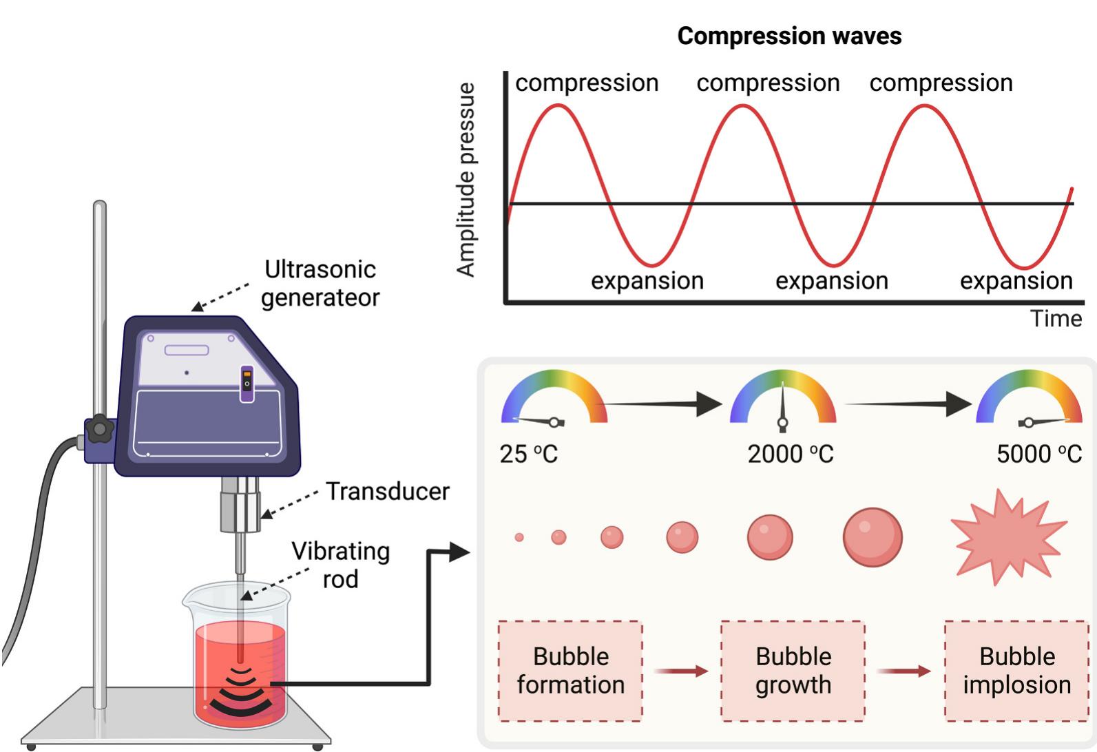 Schematic representation of typical probe sonicator and