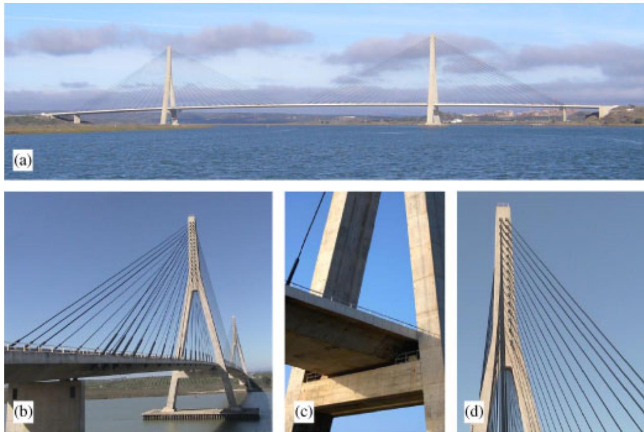 The international guadiana bridge: (a) lateral view; (b)